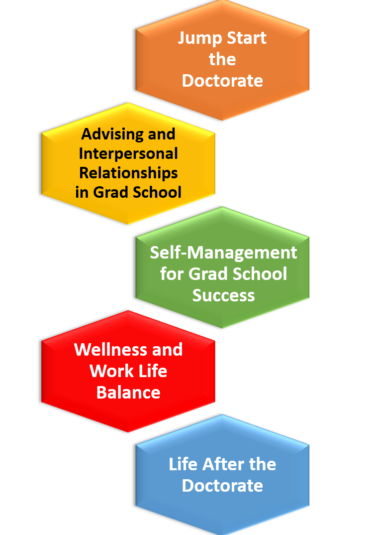 Workshop Topics, Success Groups and Evaluation - The Rising Doctoral ...